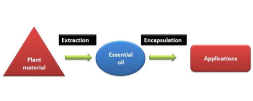 Essential Oil Extraction, Method and Approaches, Use in Food ...