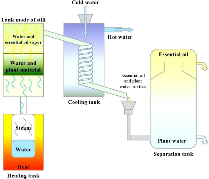 Essential Oil Extraction, Method and Approaches, Use in Food ...