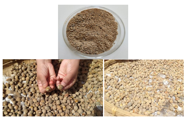Macroscopic, Microscopic, Preliminary Analytical Evaluation and Quality ...