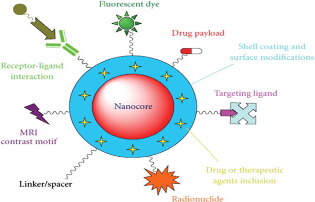 Influence of Nanomaterial Type, Formulation Technique, and Targeting ...