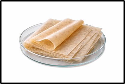 Sustainable Biodegradable Packaging Films from Typha latifolia and ...