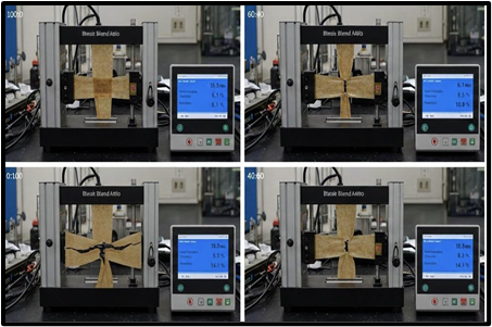 Sustainable Biodegradable Packaging Films from Typha latifolia and ...