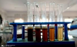 A Review on Formulation and Evaluation of Herbal Shampoo