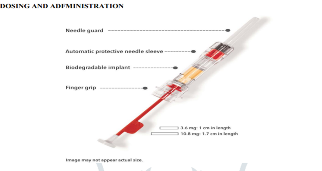 Implantable Drug Delivery System